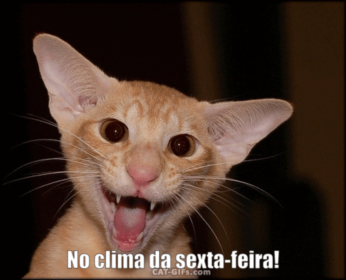 Como escrever em GIF | Editores | TechTudo