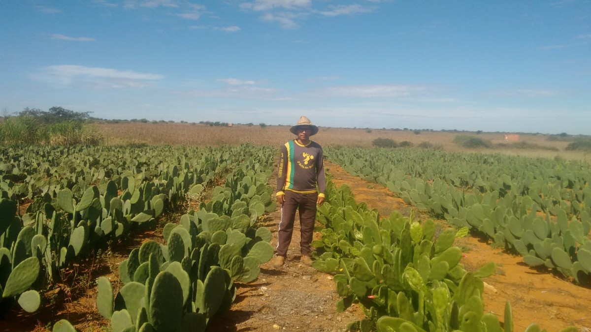 Fortalecendo o campo, transformando vidas. Conheça as ações do Senar ...