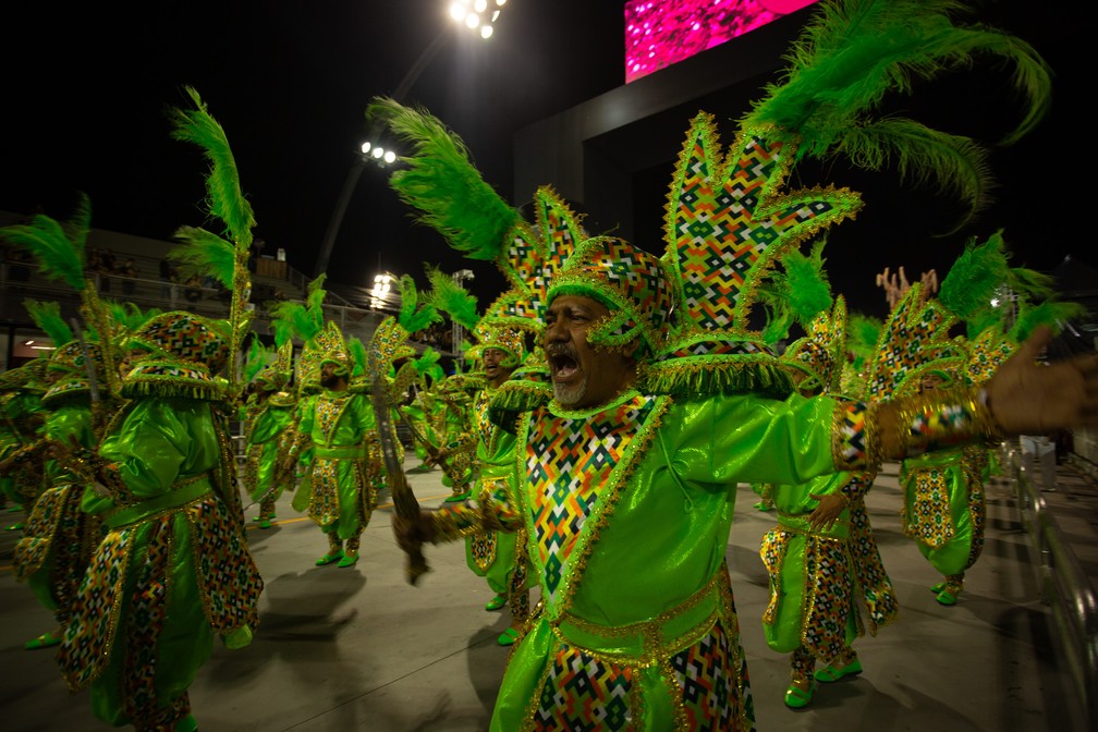 Desfile da Barroca Zona Sul; veja FOTOS | Carnaval 2020 em São Paulo | G1