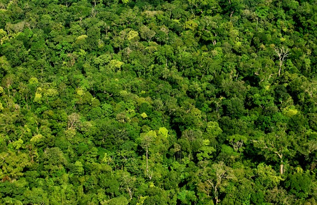 Câmara aprova lei da biodiversidade - Época Negócios | Ação
