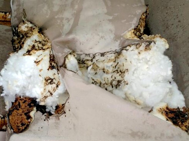 G1 - Máquina explode e idoso se queima em impermeabilização de sofá no ...