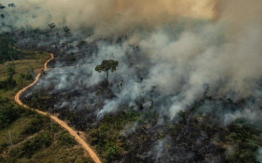 Área desmatada da Amazônia é a maior em 15 anos, mostra Imazon - Época ...