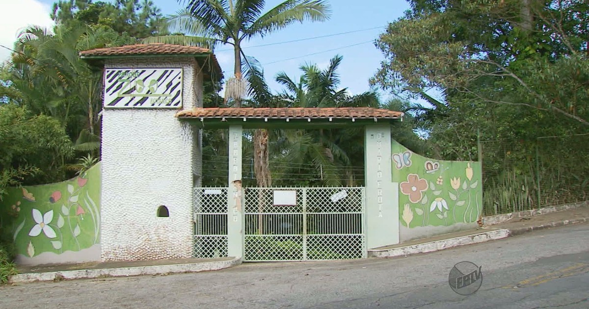 G1 - Zoológico de Varginha deve ser reaberto entre 30 e 60 dias, diz ...