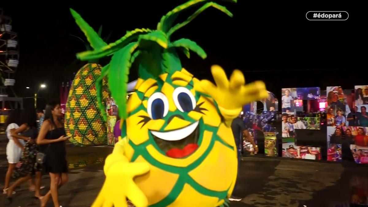 Barcarena, terra de lindas praias e do tradicional Festival do Abacaxi ...