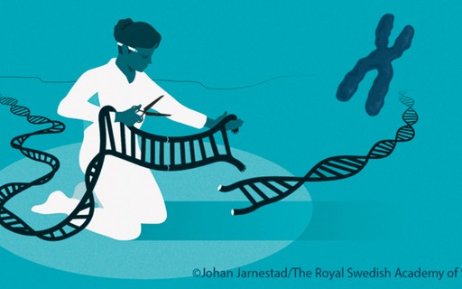 Entenda a técnica Crispr/Cas9, que ganhou o Nobel de Química de 2020 ...