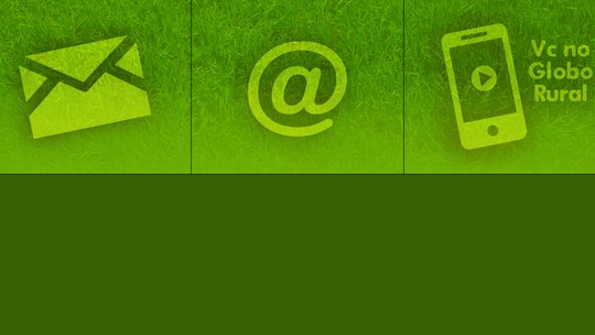 Globo Rural