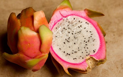 Saiba como melhorar a produtividade da pitaia - Revista Globo Rural ...