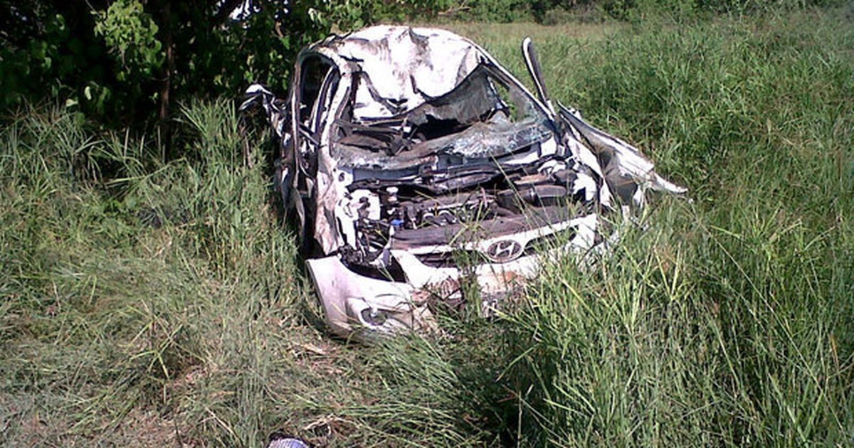 G1 - Elefante ataca carro em parque nacional na África do Sul ...