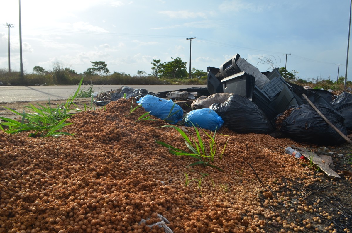Despejo irregular de lixo polui trecho às margens da Rodovia Norte-Sul ...