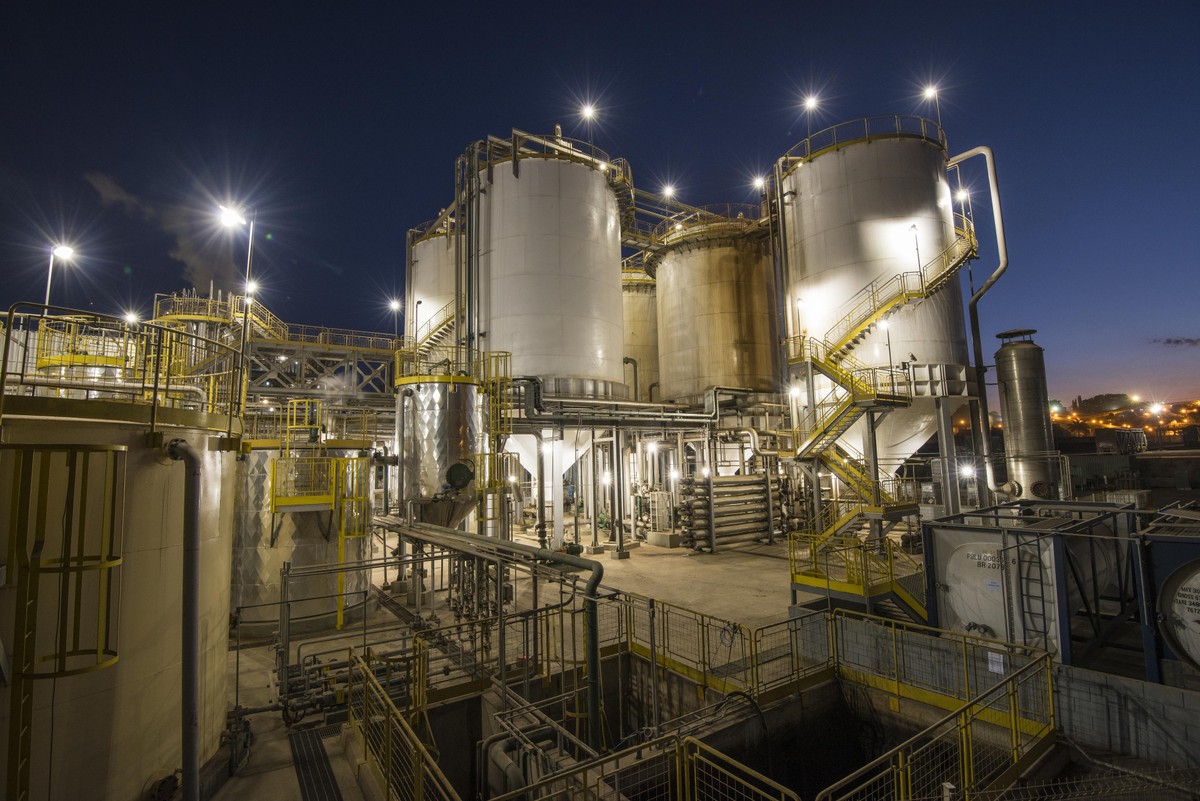 Resultados da Raízen no 3º trimestre do ano safra 22/23 frustram ...