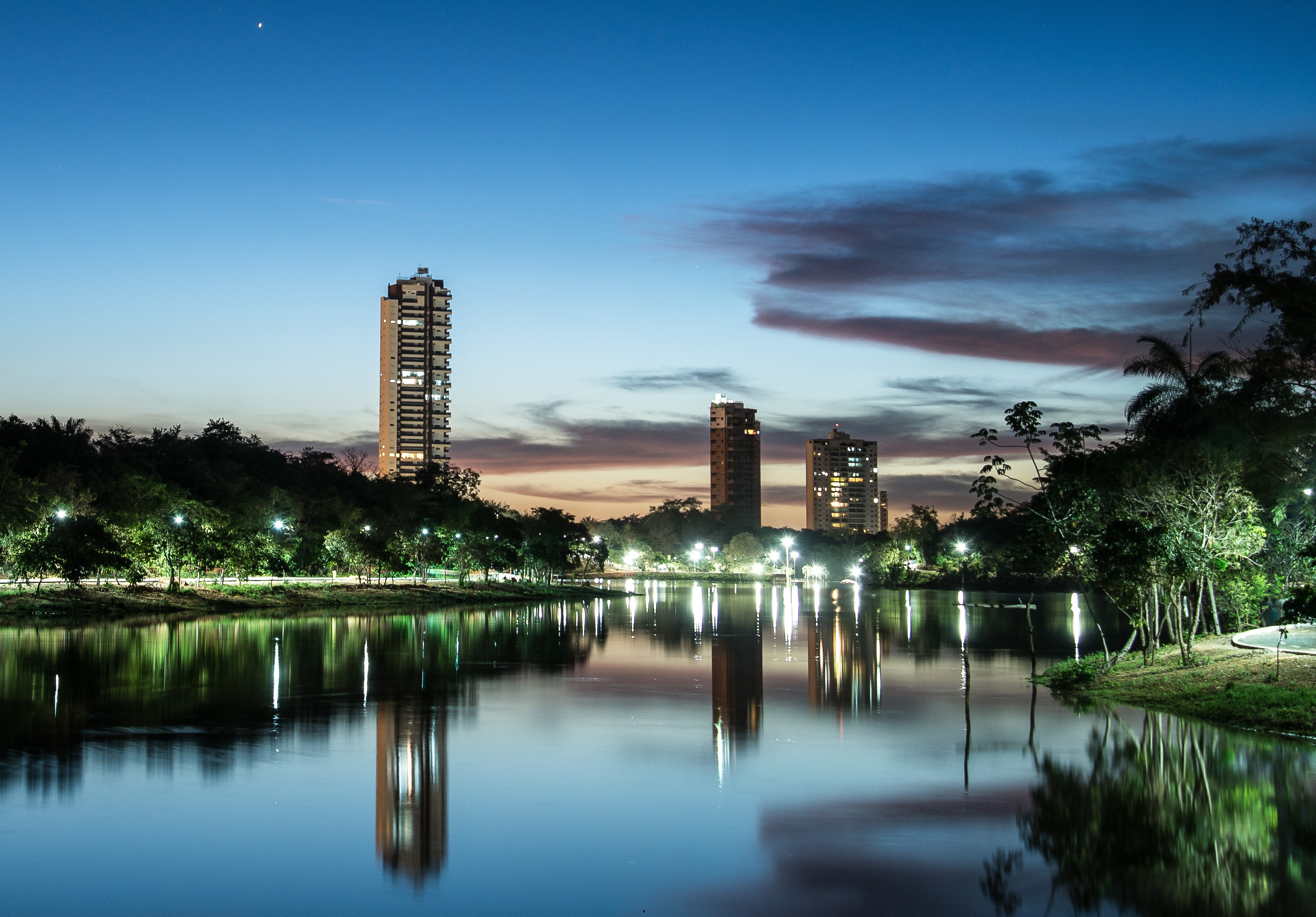Qual é o símbolo de Palmas?