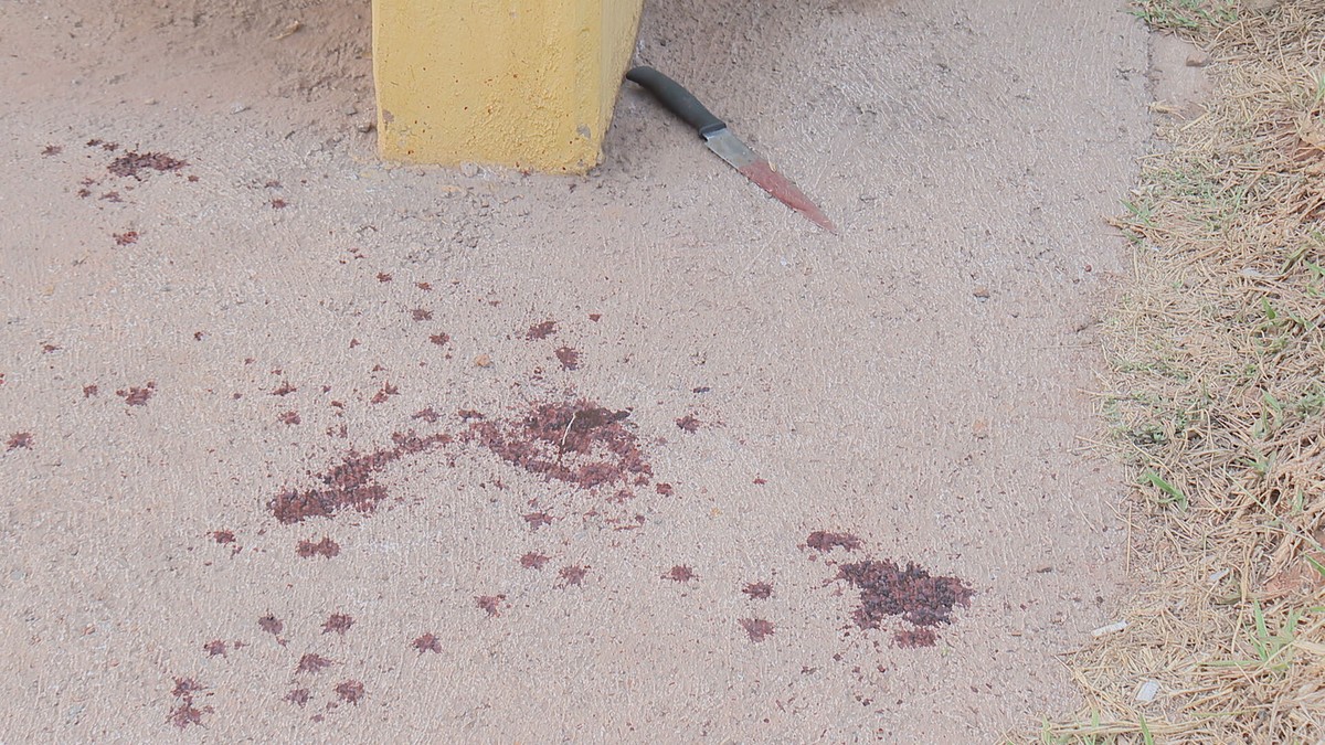 Mulher é Esfaqueada Por Ex Companheiro Em Parada De ônibus No Park Way