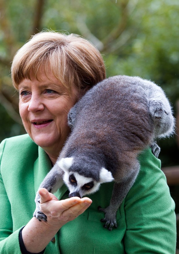G1 - Angela Merkel alimenta lêmure em visita a parque na Alemanha ...