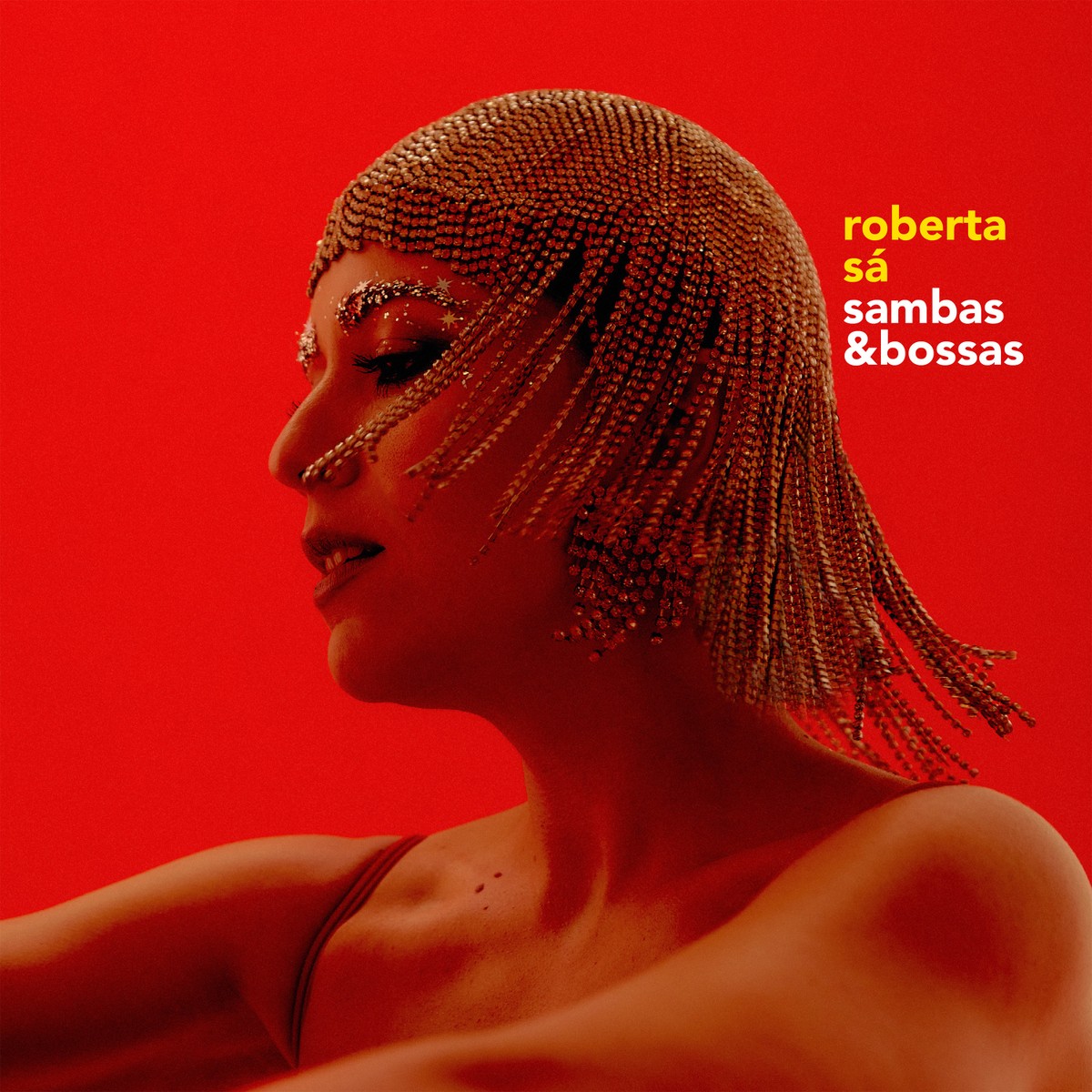 Roberta Sá lança oficialmente álbum feito para empresa antes da fama da ...