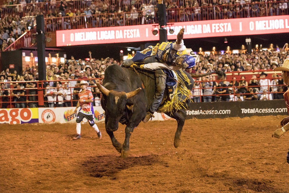 Barretos 2019: finais do Rodeio Internacional; FOTOS | Festa do Peão de ...