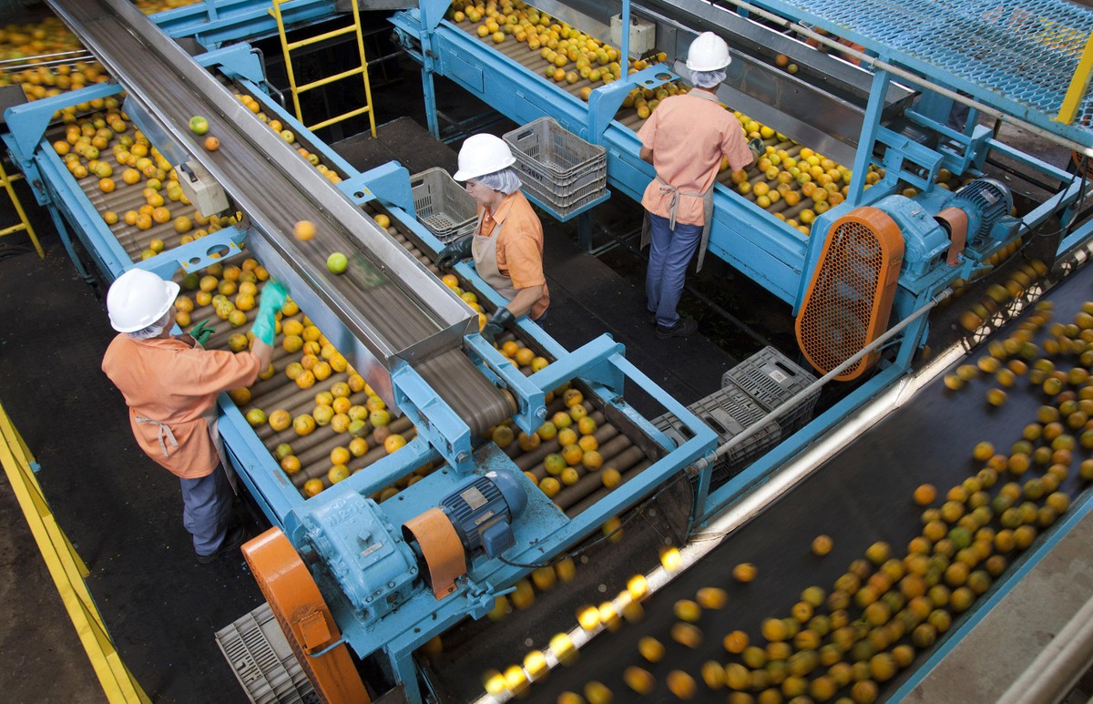 Cutrale halts orange juice exports to the U.S. | Business ...