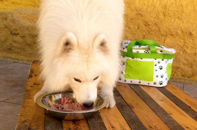 Marca de comida natural para cães, Dog Natural Food amplia fábrica em ...