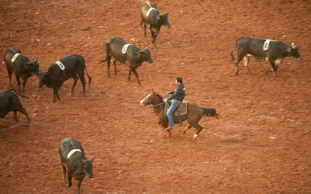 Barretos 2019: finais do Rodeio Internacional; FOTOS | Festa do Peão de ...