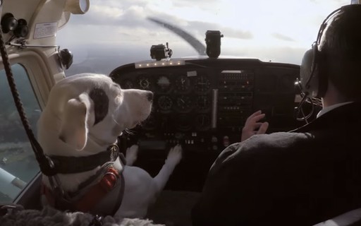 Cães pilotam aviões de verdade no reality show mais bizarro do mundo ...
