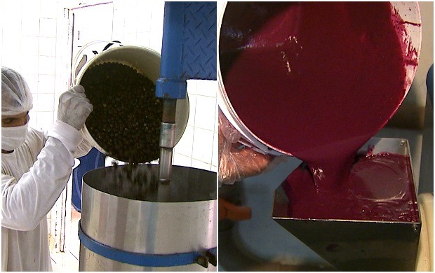 Rede Globo > acre - Série do Bom Dia Amazônia mostra os benefícios do ...