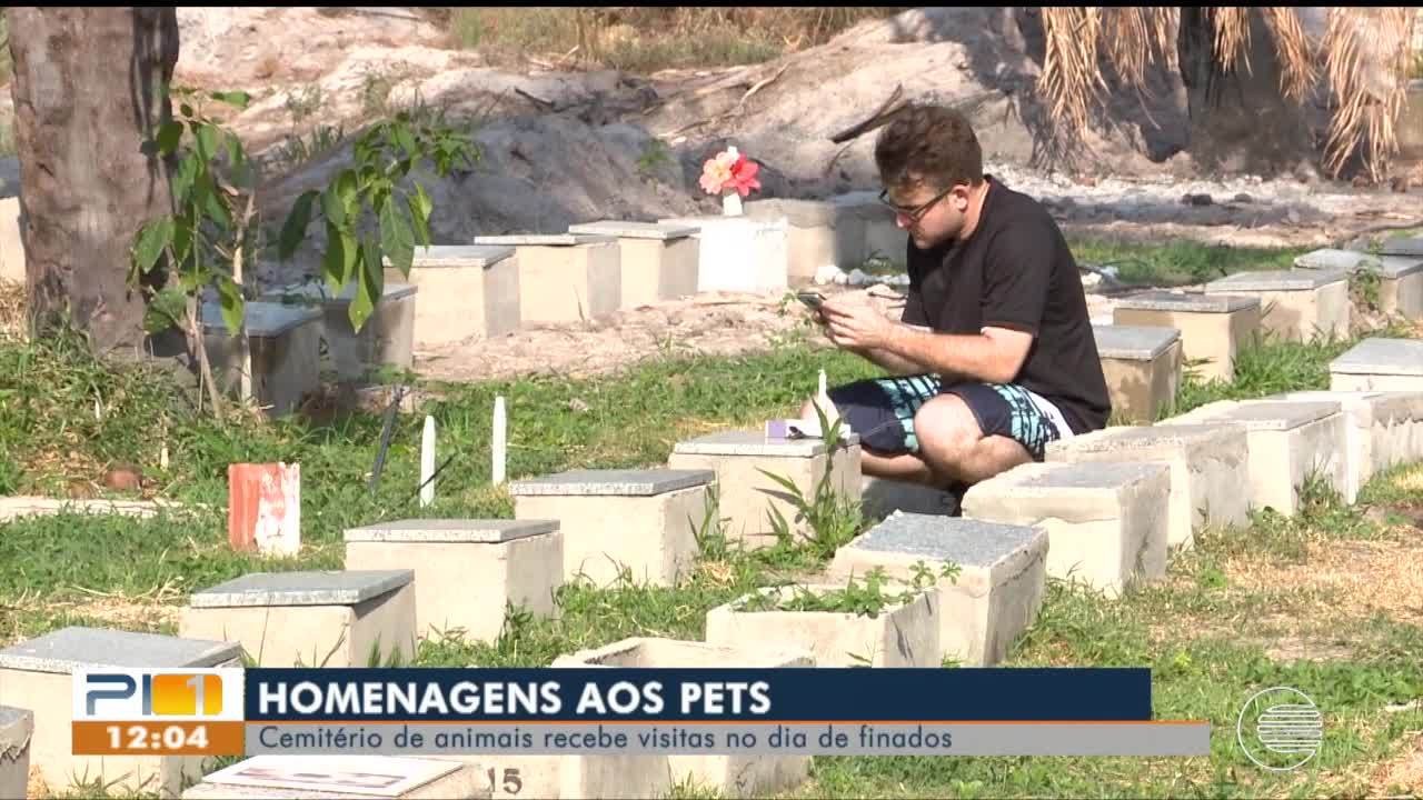 VÍDEOS: PITV 1ª edição de sábado, 3 de novembro | Piauí | G1