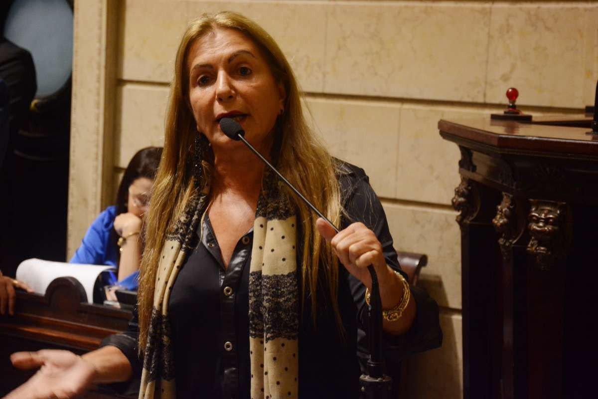 Rosa Fernandes vai tentar solução em Brasília para as enchentes do Rio ...