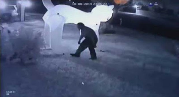 G1 - Ladrão é flagrado por câmeras roubando gato inflável nos EUA ...