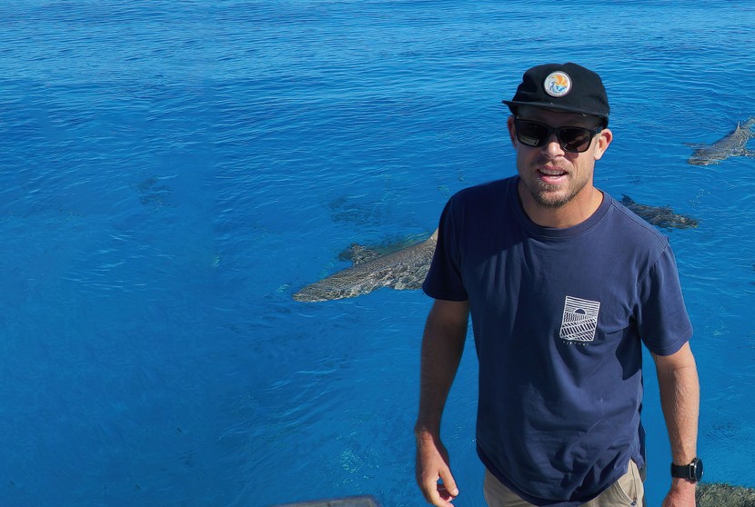 Assistir Save This Shark - Parte 1 online no Globoplay