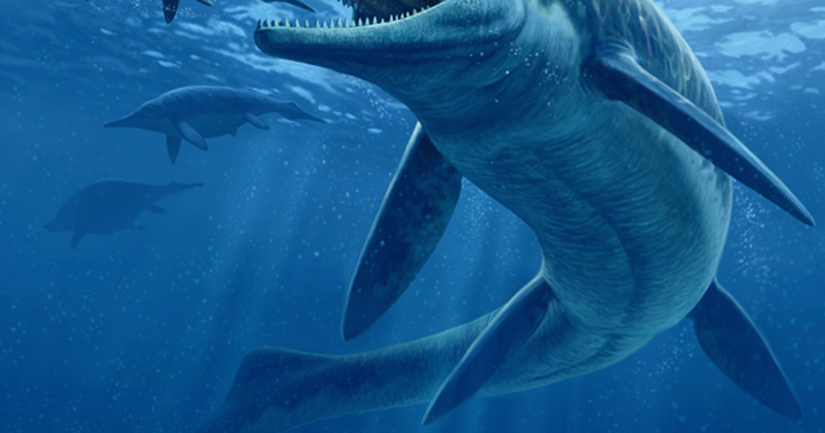 G1 - Fóssil pré-histórico de 'monstro marinho' é descoberto nos EUA ...