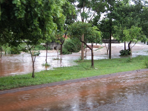 G1 - Temporal de 30 minutos provoca estragos em Ipuã, SP - notícias em ...