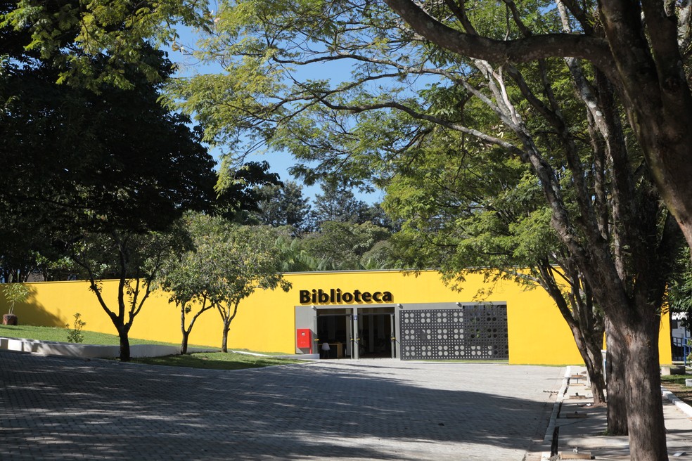 Para quem deseja crescer no mercado de trabalho graduação ainda é a ...