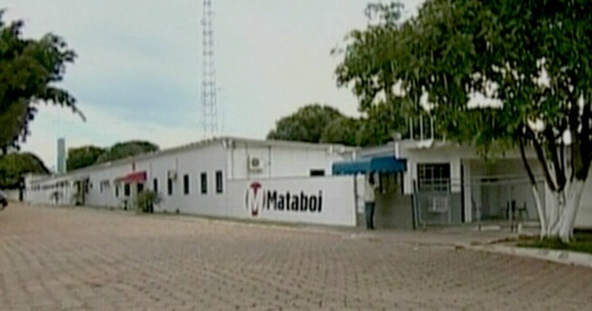 Agronegócios - Crise financeira de frigorífico Mataboi preocupa criadores