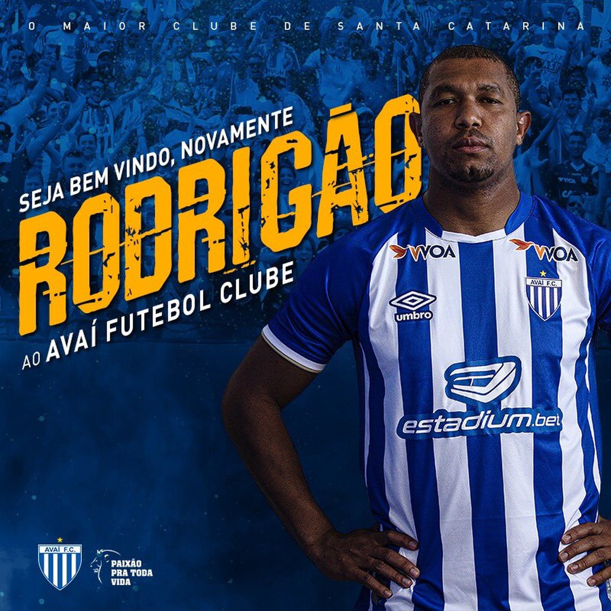 Avaí anuncia retorno do atacante Rodrigão para sequência da Série B do ...