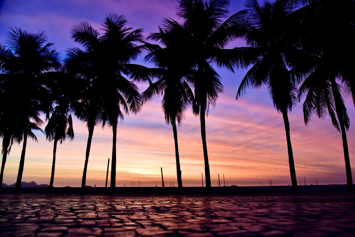 Imagens do dia 15 de janeiro de 2019 | Mundo | G1