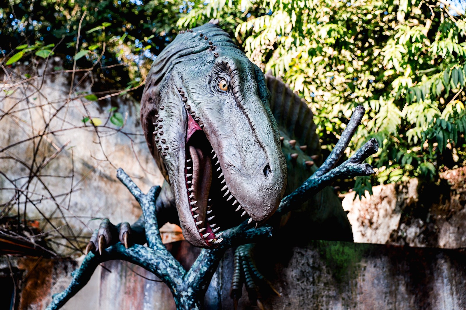 Parque Dos Dinossauros De Miguel Pereira Abrirá As Portas Em Outubro
