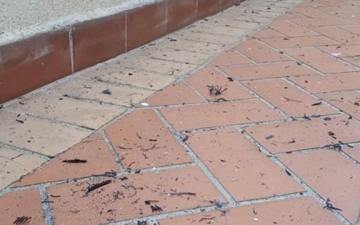 Qual é a melhor maneira de limpar a fuligem dentro de casa - Casa Vogue ...