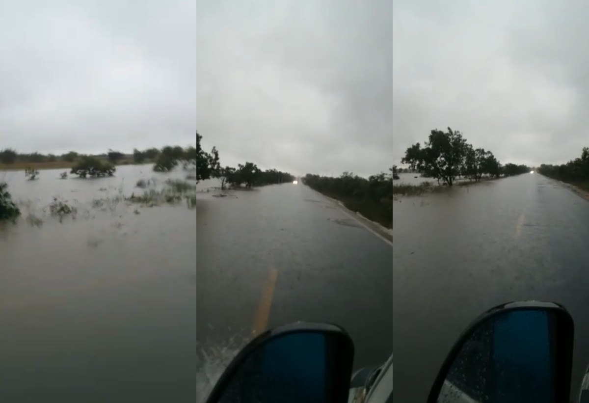 Chuva alaga ruas e rio transborda em rodovia no Norte de Roraima | Roraima | G1