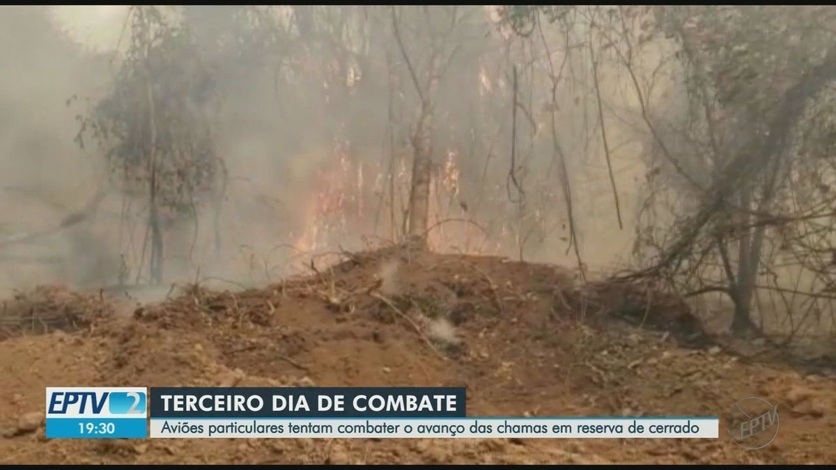 Combate A Incêndio Em Maior Reserva De Cerrado Em Sp Chega Ao 3º Dia Em