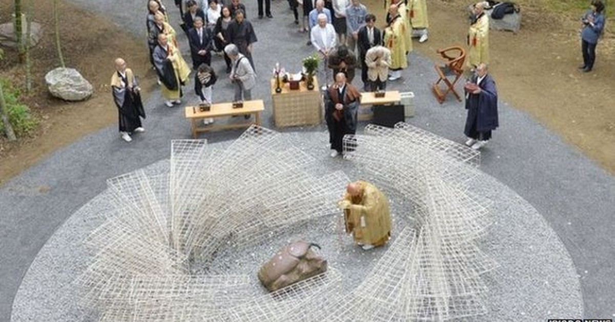 Natureza - Japão inaugura monumento em homenagem a insetos mortos por ...