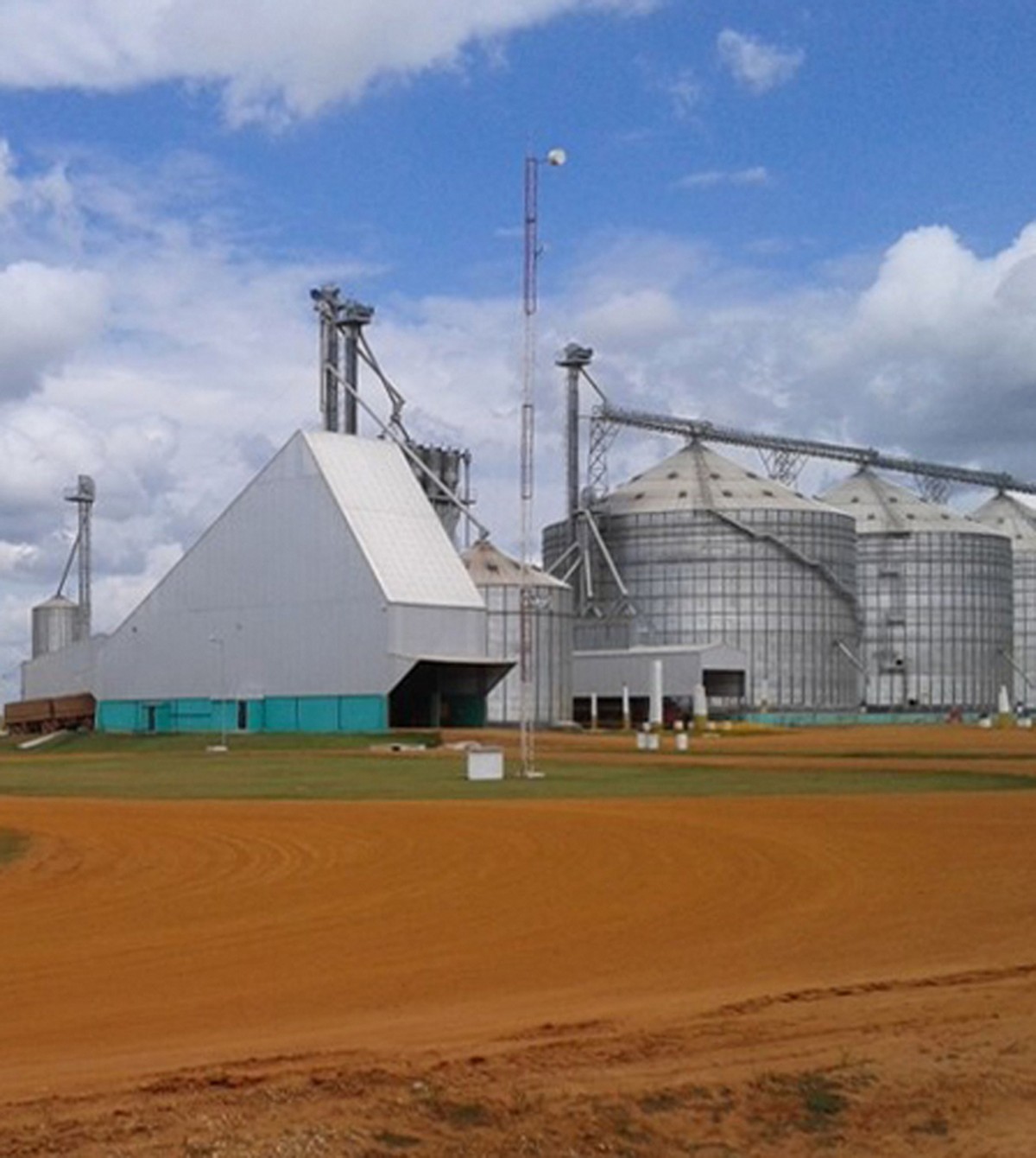 Faturamento da Cofco Internacional cresceu 37% em 2021 | Agronegócios ...