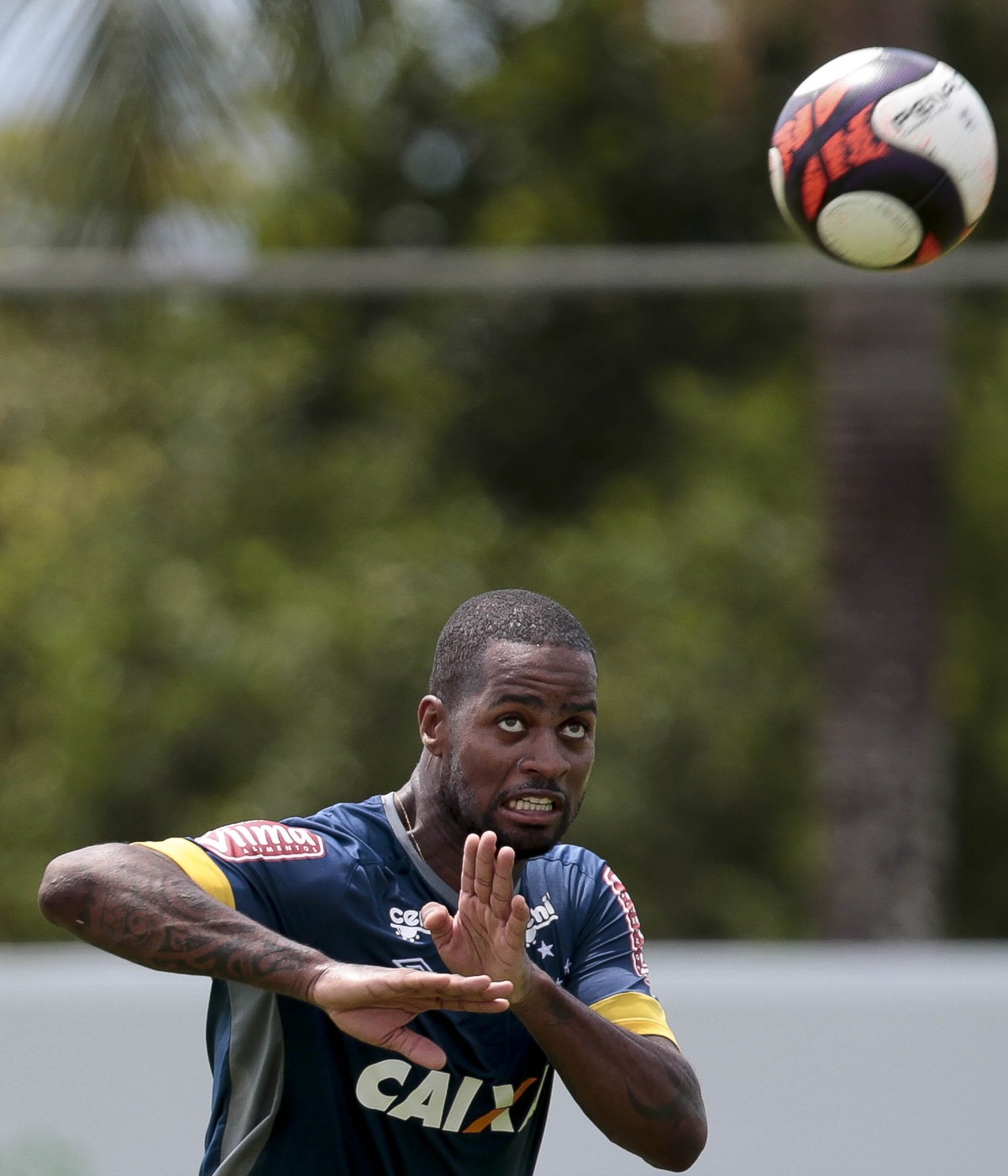 Após domingo "inesquecível", Dedé é prudente ao falar sobre ...