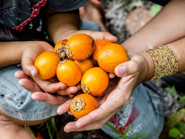 G1 - Projeto relaciona contação de histórias e culinária regional do PA ...
