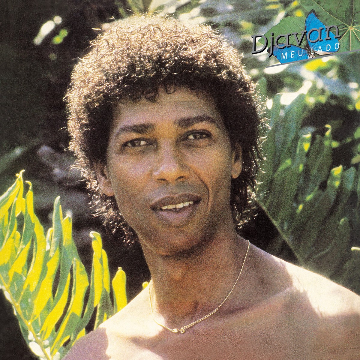 Discos para descobrir em casa – 'Meu lado', Djavan, 1986 | Blog do ...