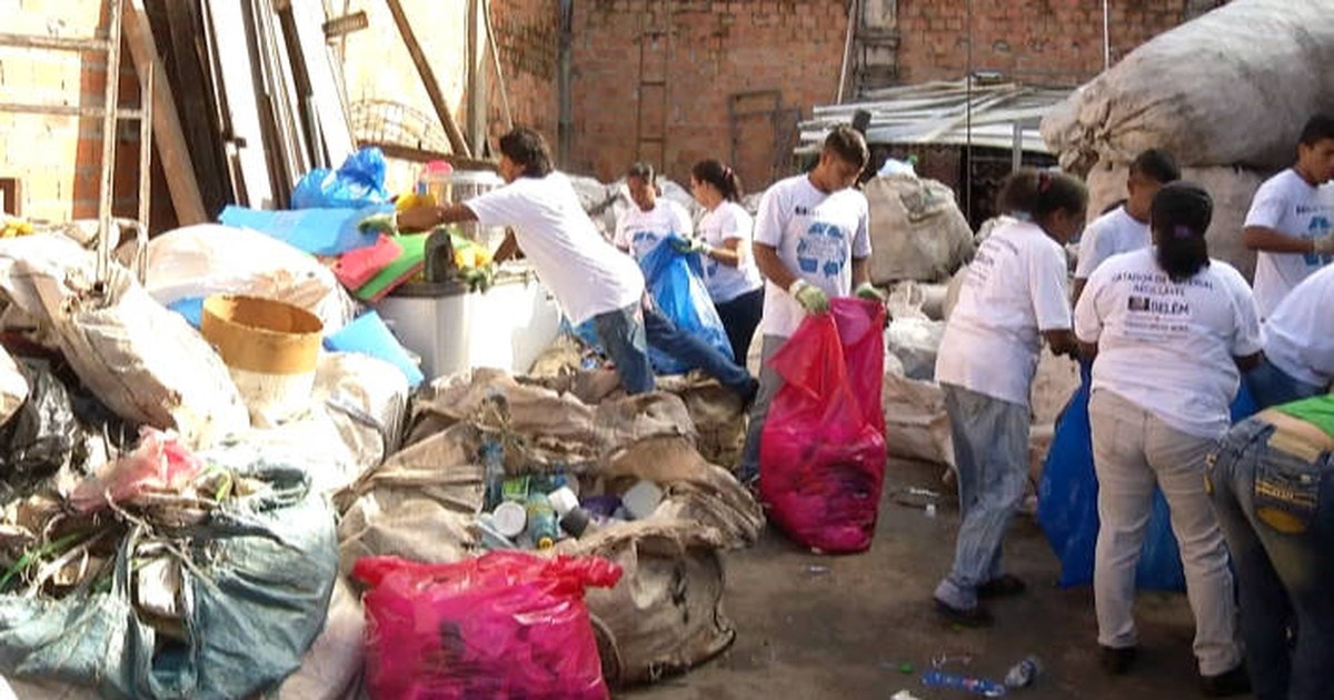 G1 - MPF abre edital para cooperativas de catadores de recicláveis em ...