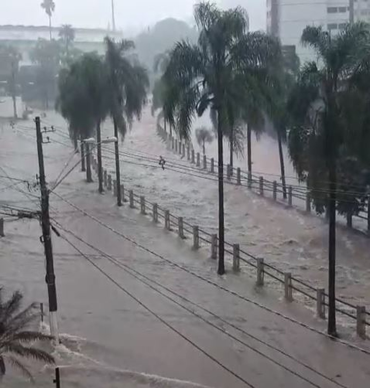 Chuva Provoca Alagamentos E Quedas De árvores Em Campinas Veja Imagens