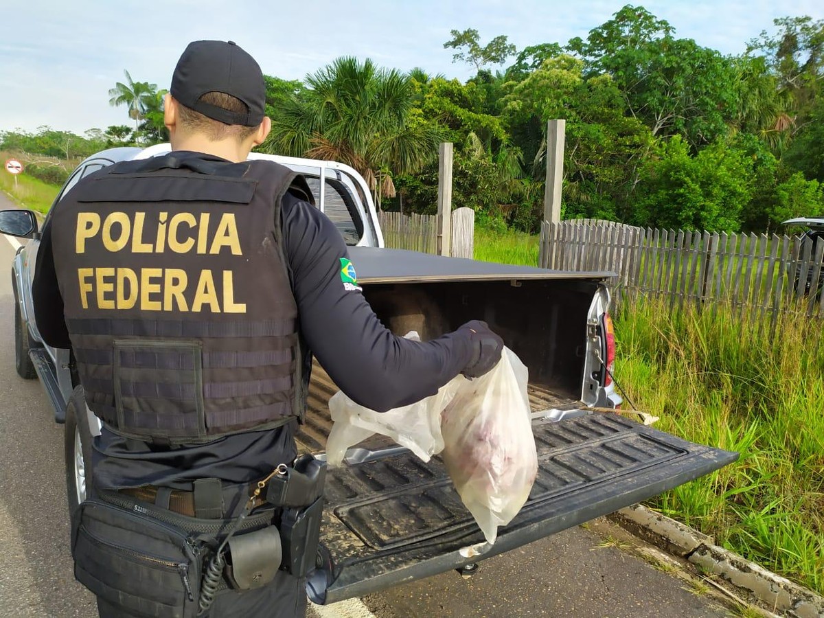 Armas E Carne De Caça Ilegal São Apreendidas Em Operação Da Pf No Acre