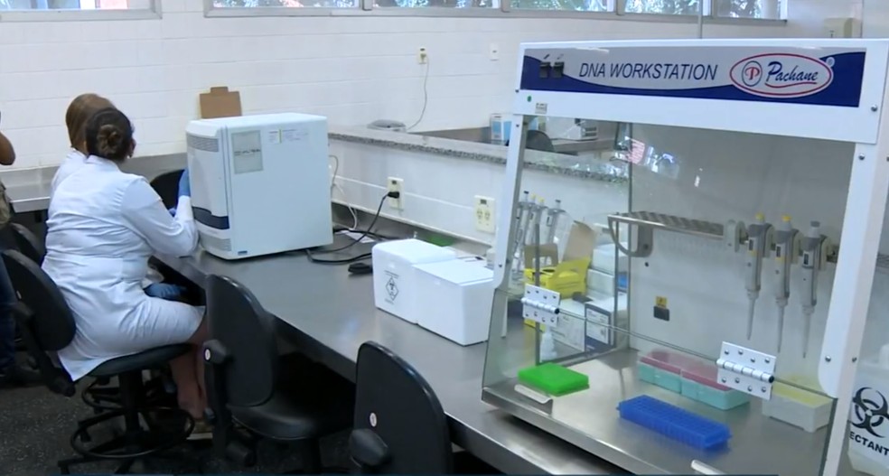 Hospital de Clínicas da Unicamp já realizou mais de 850 testes para ...