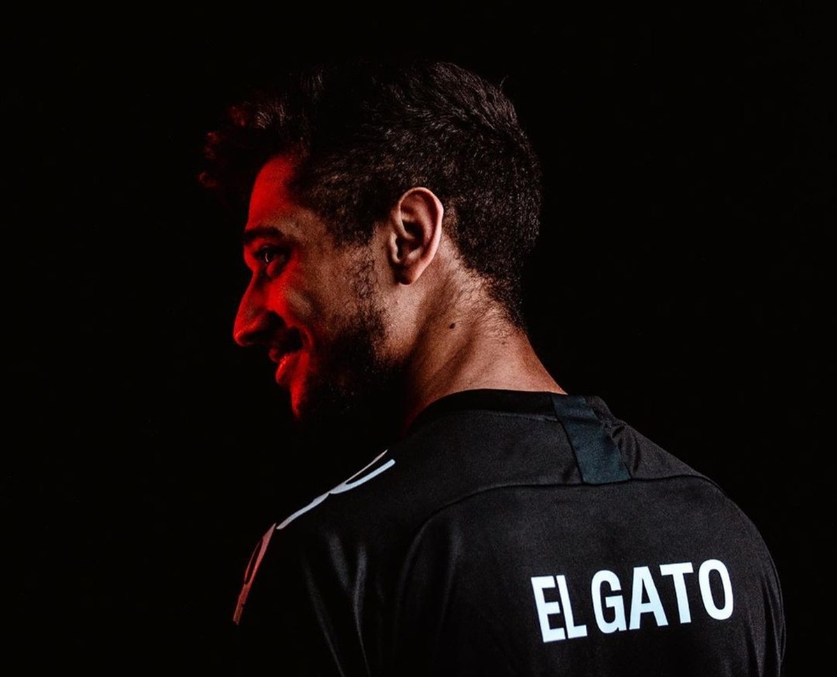 Free Fire: El Gato revela multa de R$ 1,5 milhão de jogador da Dollars ...