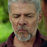 Zé Mayer e as formigas: 'Sou um expert em saúvas, mas as mulheres ...