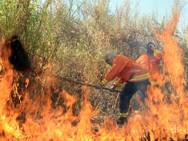 G1 - Incêndio em Brasília atinge área perto da residência do vice ...